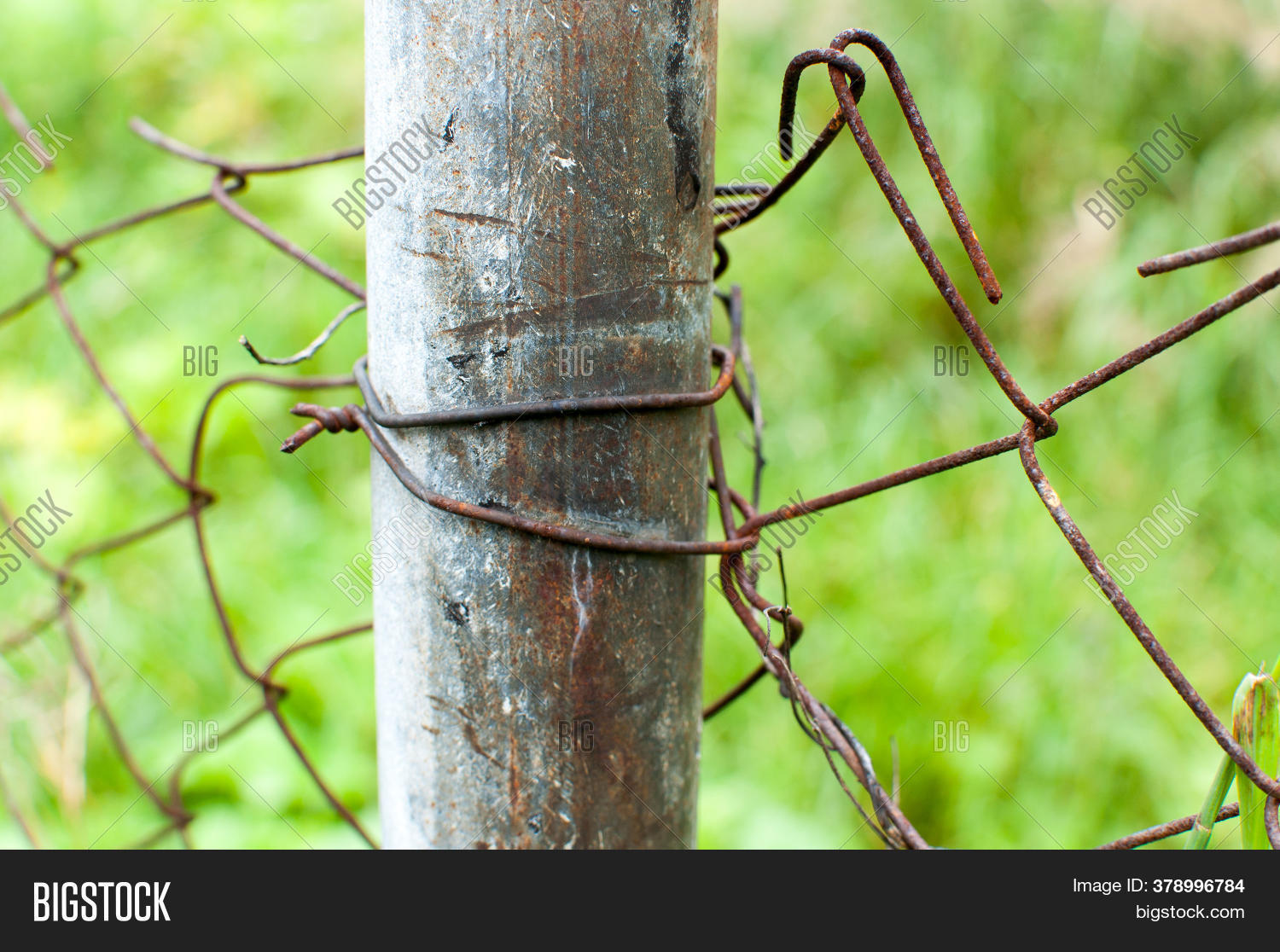 Mesh Pattern. Chain- Image & Photo (Free Trial) | Bigstock
