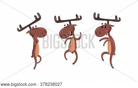 Set Funny Brown Moose Vector & Photo (Free Trial) | Bigstock