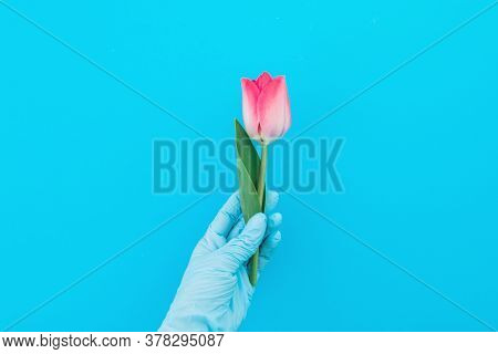 Epidemic Concept Image & Photo (Free Trial) | Bigstock