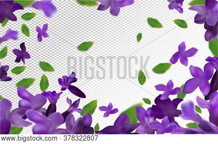 Lavender Background. Vector & Photo (Free Trial) | Bigstock