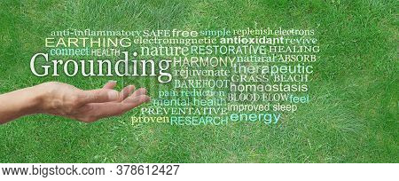 Grounding Earthing Image & Photo (Free Trial) | Bigstock