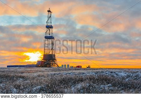 Sparse Vegetation Image & Photo (Free Trial) | Bigstock