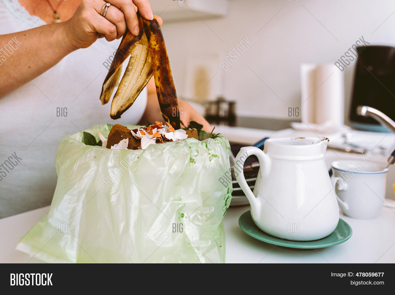 Sorting Food Waste Image & Photo (Free Trial) | Bigstock