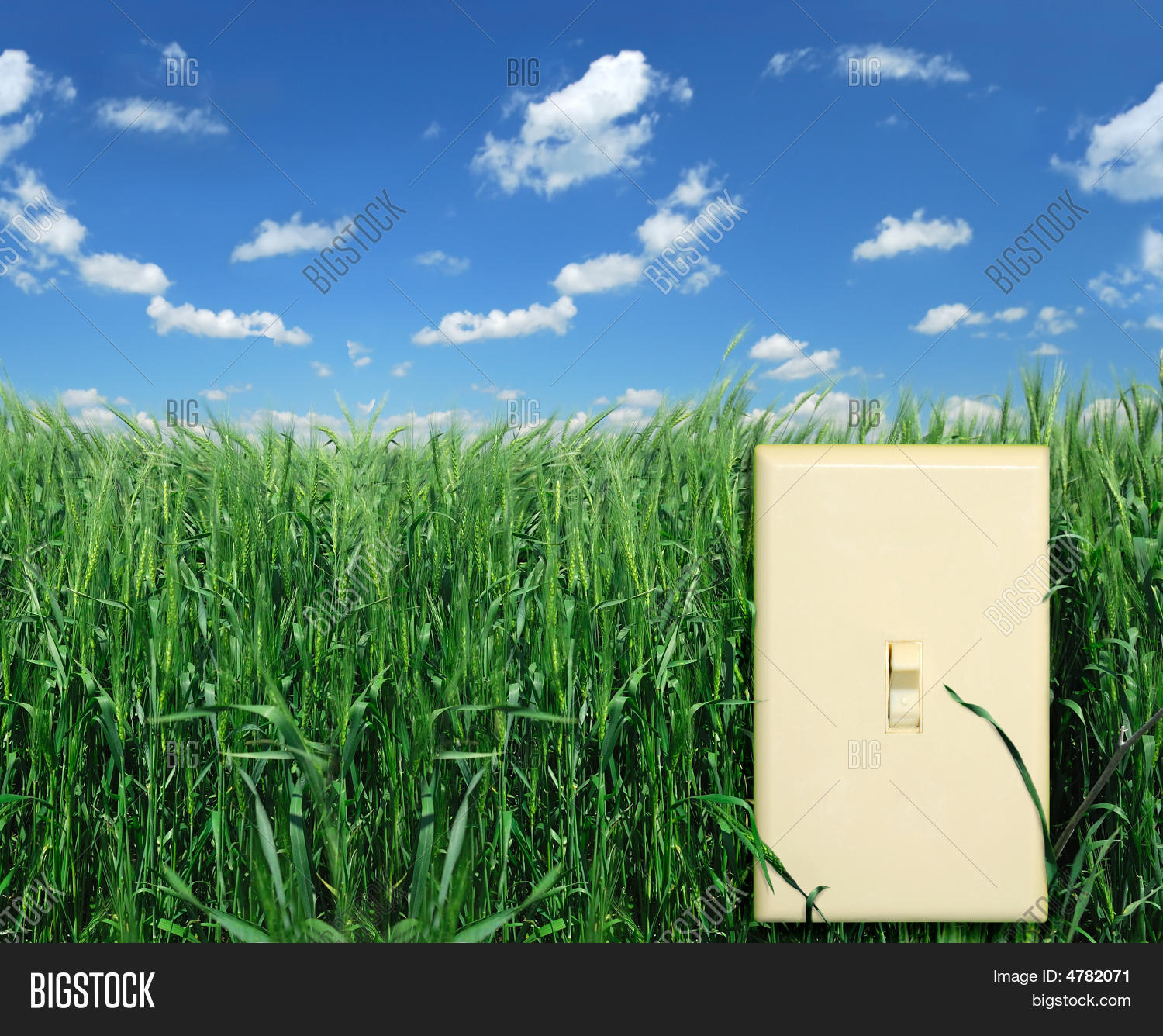 Switch Go Green Image & Photo (Free Trial) | Bigstock