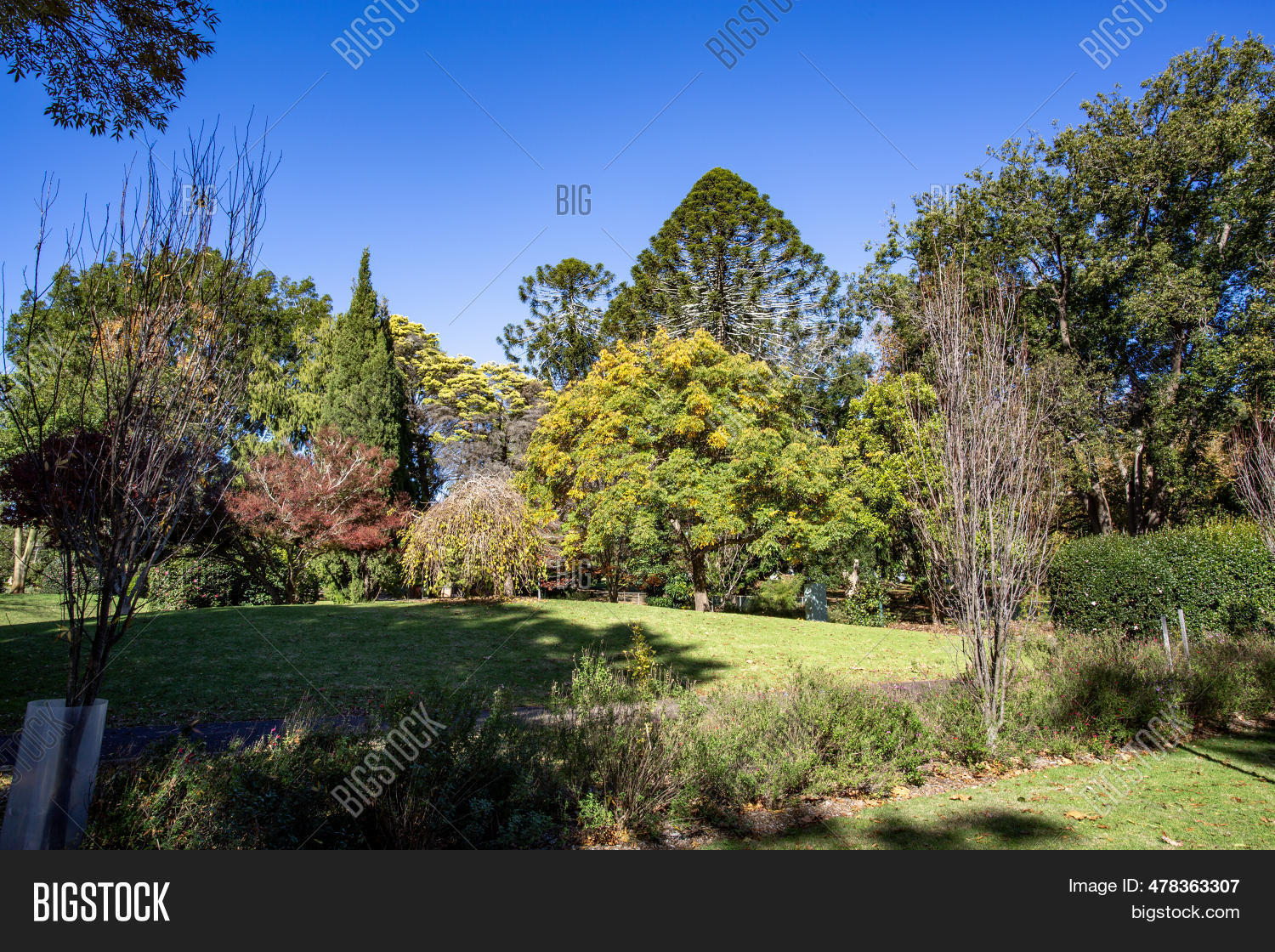 Toowoomba Queens Park Image & Photo (Free Trial) | Bigstock
