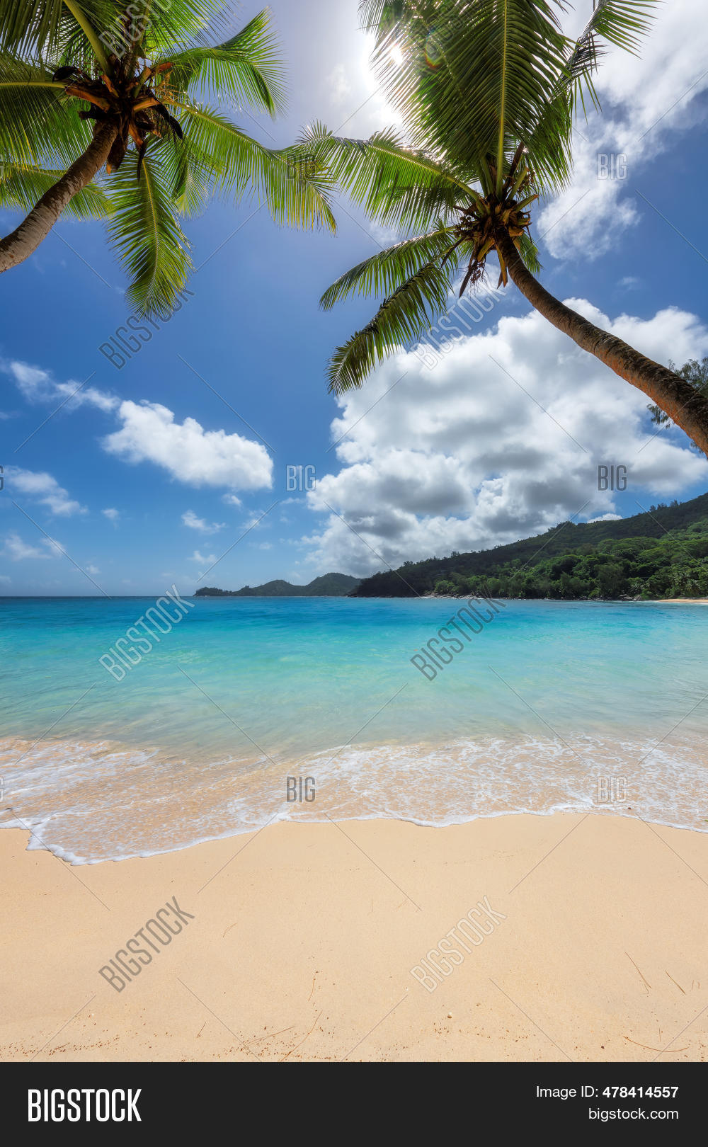 Sunny Tropical Beach Image & Photo (Free Trial) | Bigstock