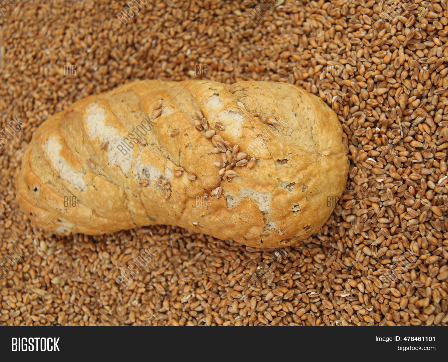 Loaf Bread Laying On Image & Photo (Free Trial) | Bigstock