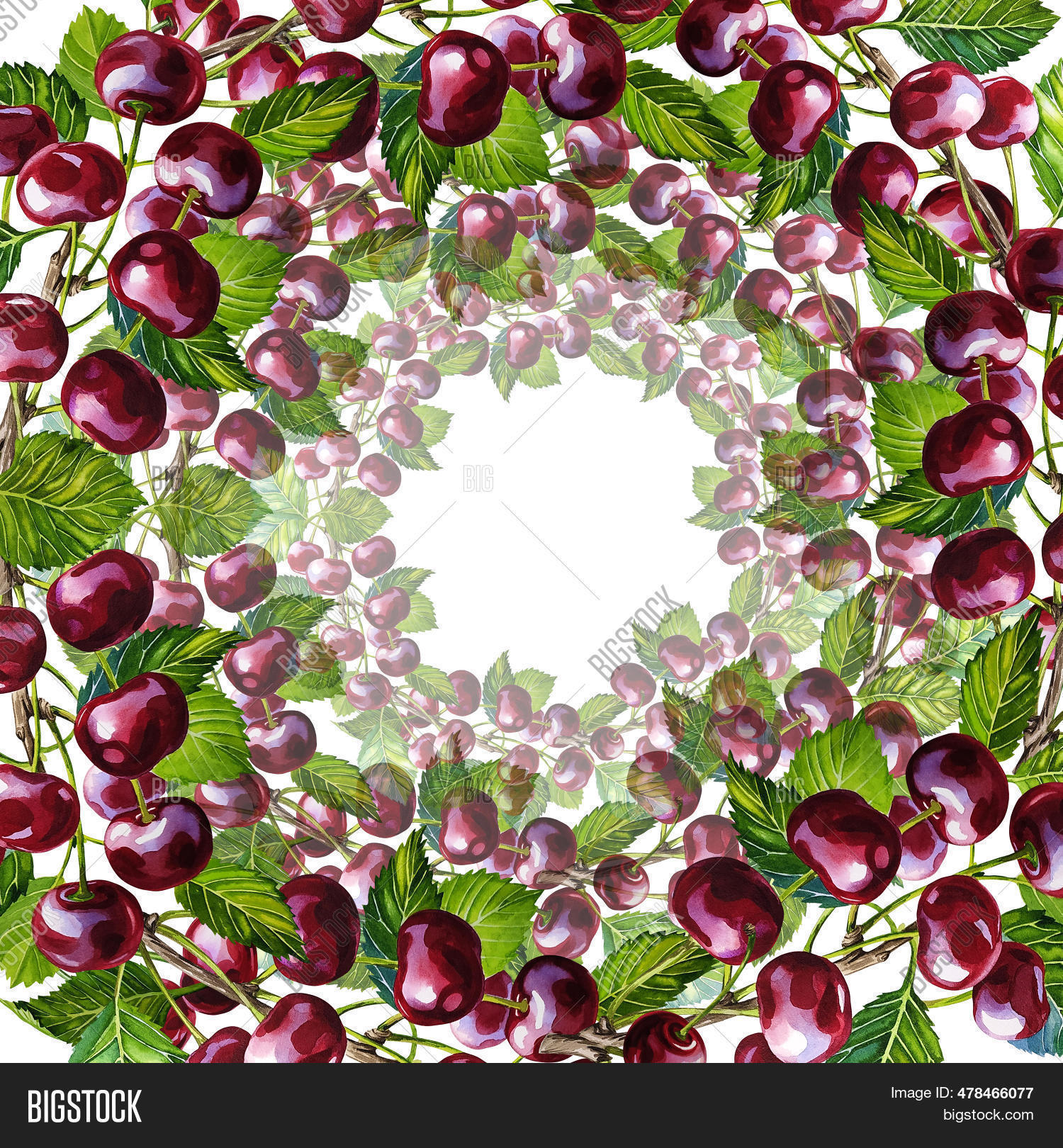 Cherry Round Frame. Image & Photo (Free Trial) | Bigstock