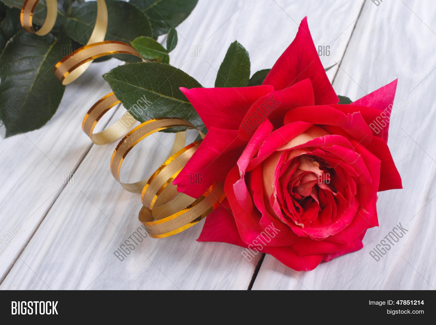 Flower Red Rose Golden Image & Photo (Free Trial) | Bigstock