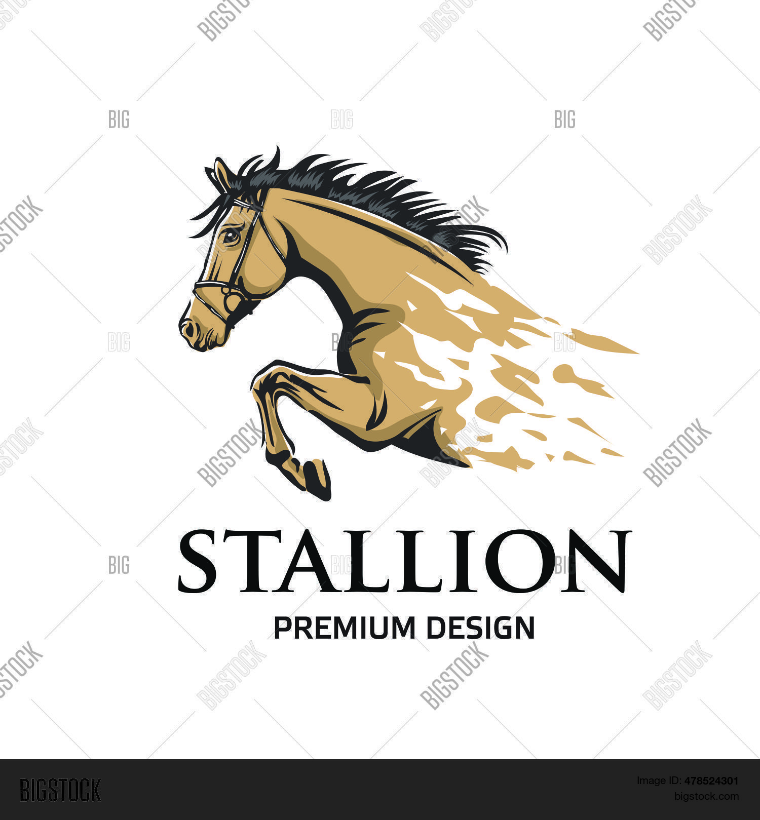 Vector y foto Stallion Horse (prueba gratis) | Bigstock