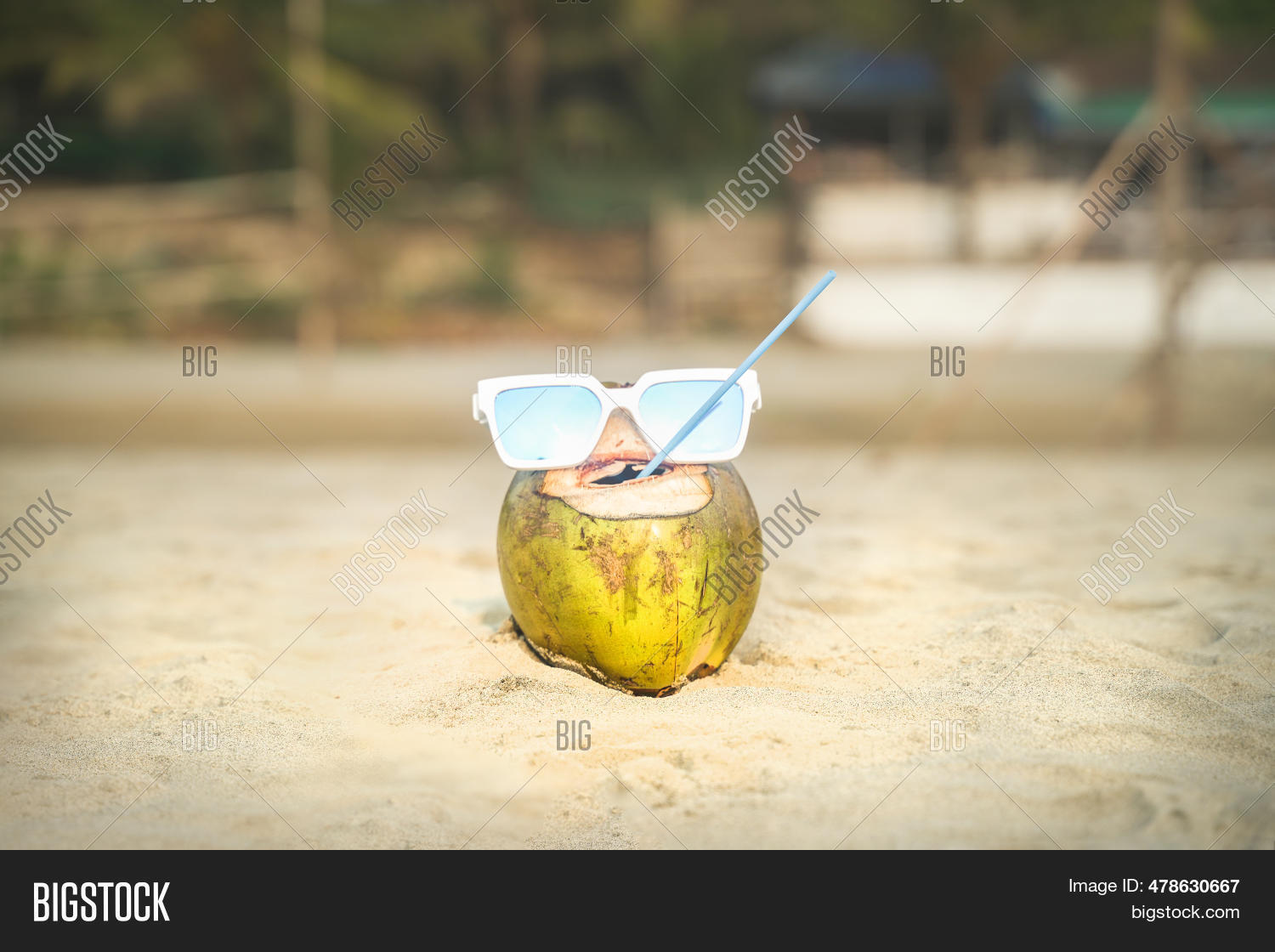 Coconut Wearing Image & Photo (Free Trial) | Bigstock