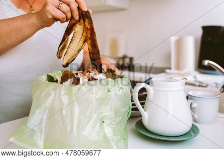 Sorting Food Waste Image & Photo (Free Trial) | Bigstock