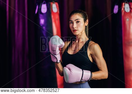 Female Boxer Training Image & Photo (Free Trial) | Bigstock