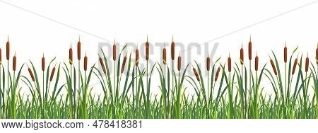Border Seamless Swamp Vector & Photo (Free Trial) | Bigstock