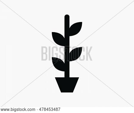 Pot Plant Icon Potted Vector & Photo (Free Trial) | Bigstock