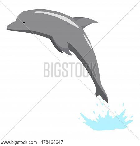 Dolphin Jumping Out Vector & Photo (Free Trial) | Bigstock