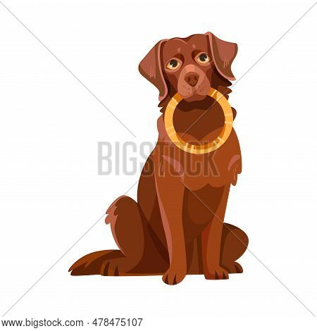 Labrador Retriever Vector & Photo (Free Trial) | Bigstock