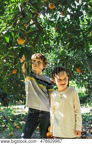 Happy Children Pick Image & Photo (Free Trial) | Bigstock