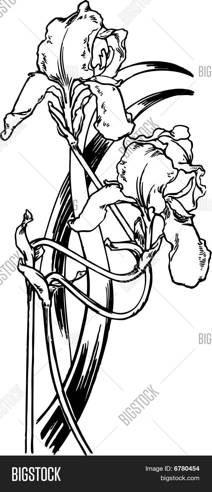 Flower Art Deco Vector & Photo (Free Trial) | Bigstock