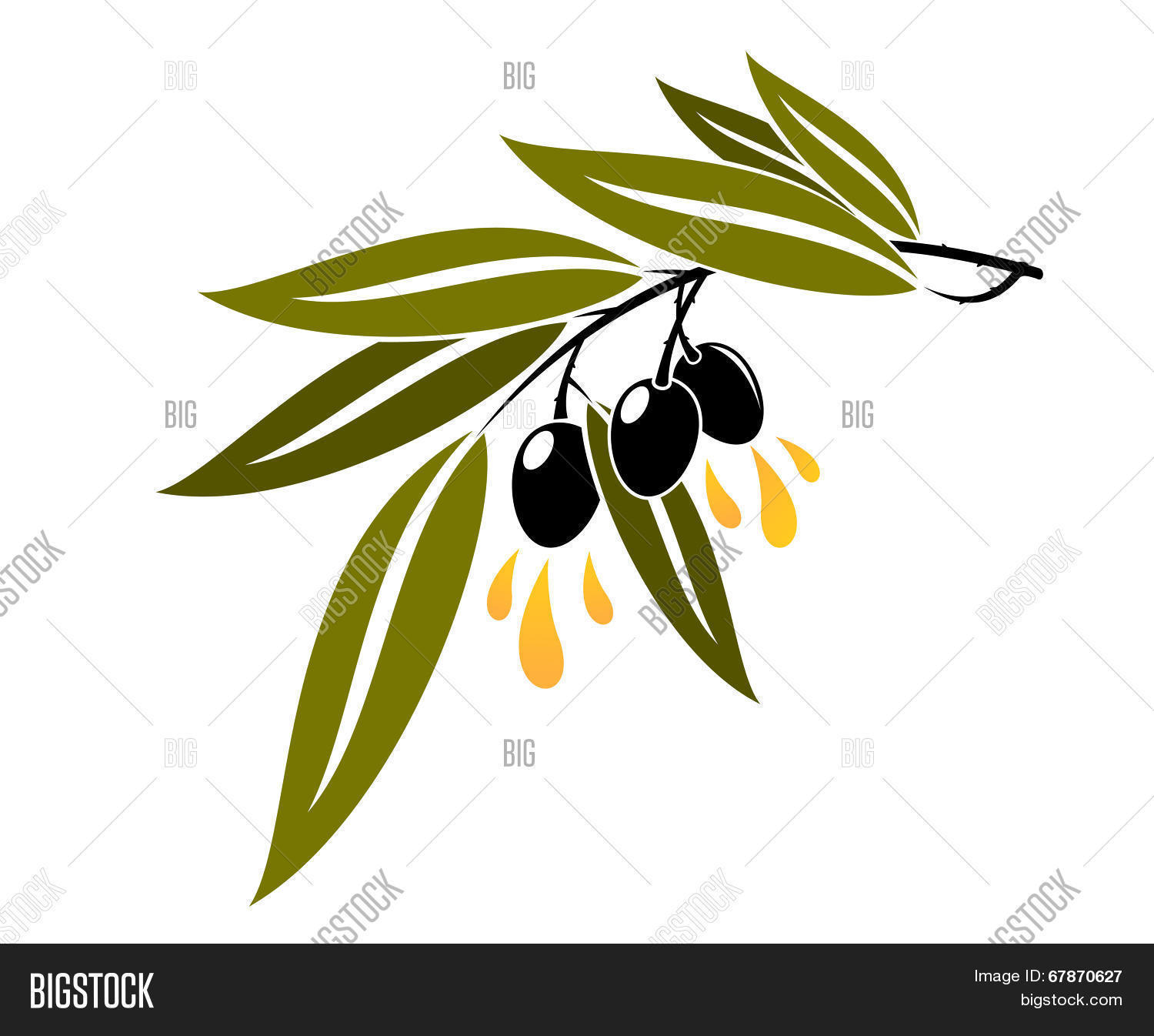 Black Olives On Vector & Photo (Free Trial) | Bigstock