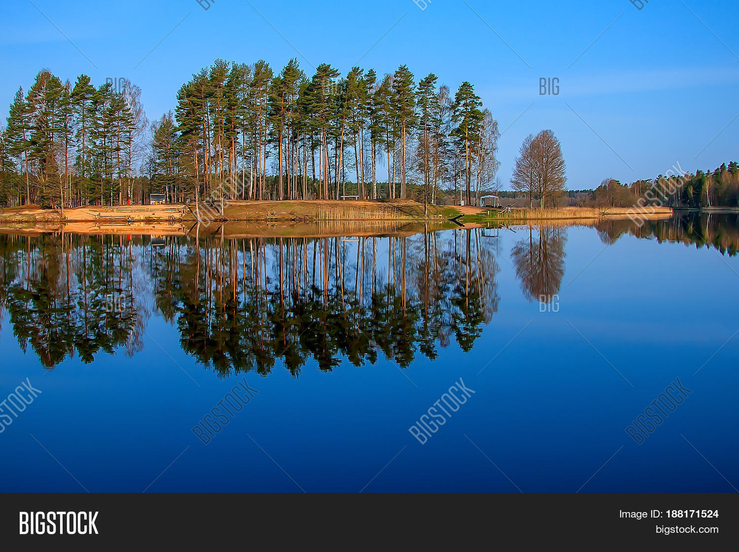 Forest Reflection Calm Image & Photo (Free Trial) | Bigstock
