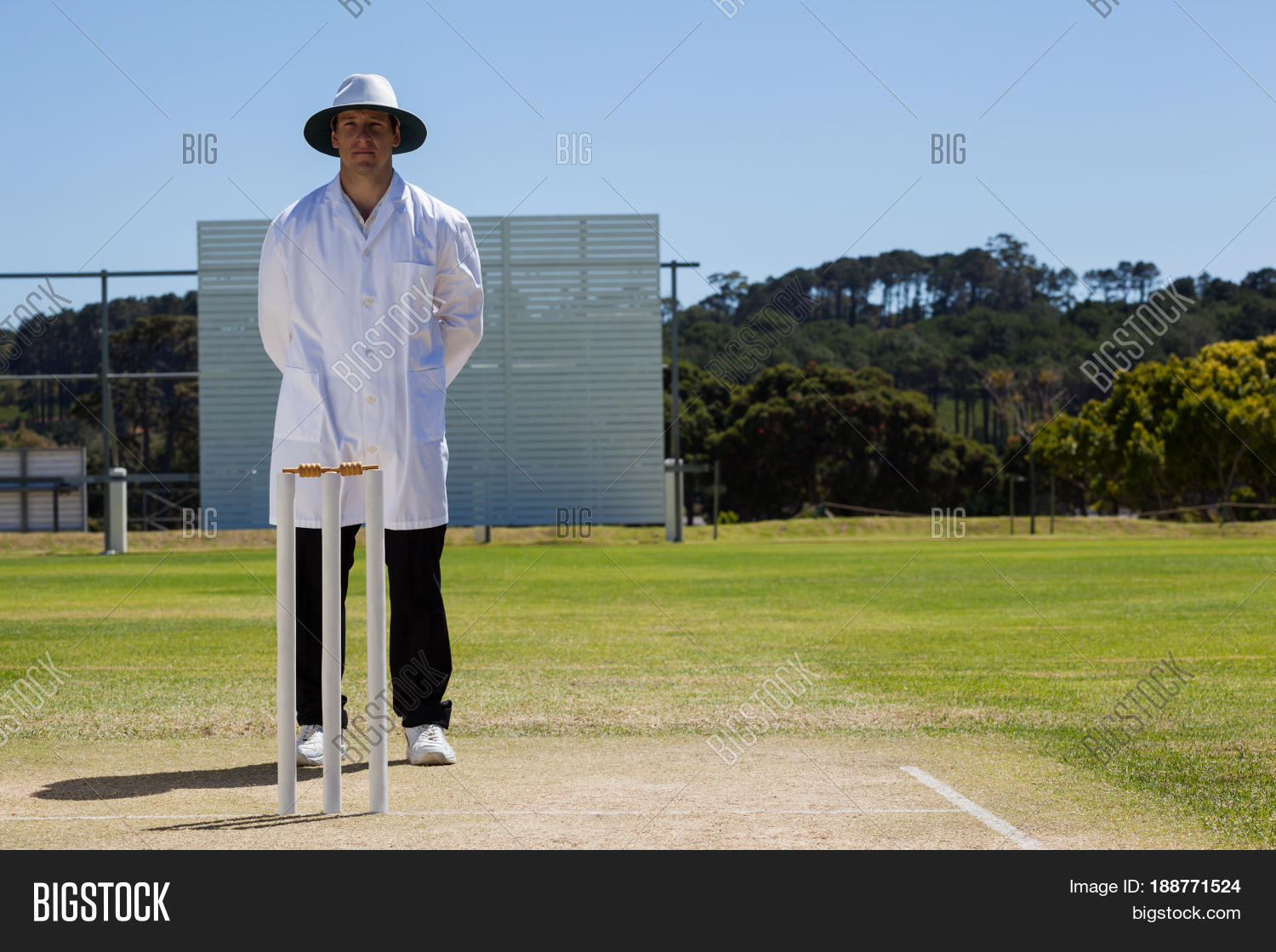Full Length Umpire Image & Photo (Free Trial) | Bigstock