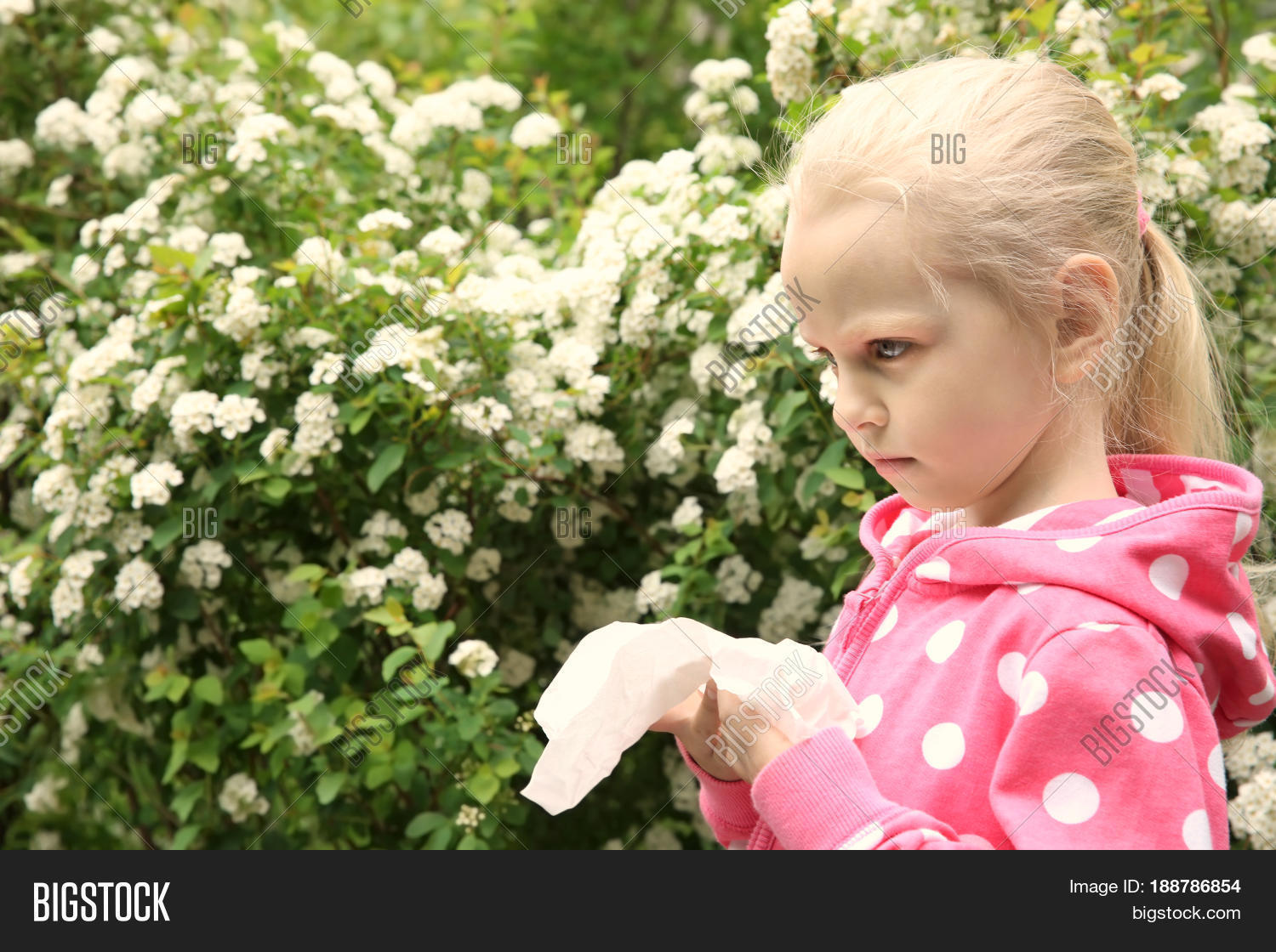 Sneezing Little Cute Image & Photo (Free Trial) | Bigstock