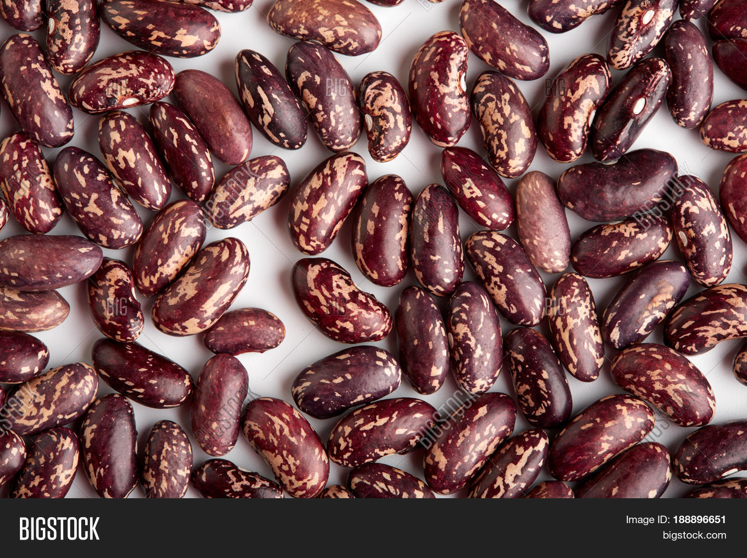 Dark Spotted Kidney Image & Photo (Free Trial) | Bigstock