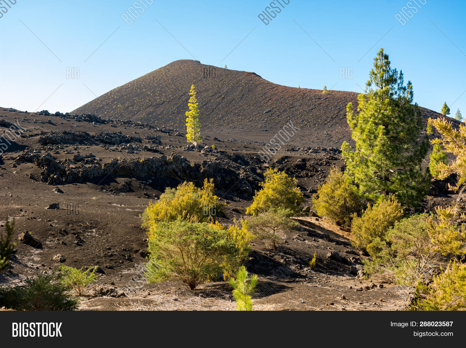 Volcano Chinyero - Image & Photo (Free Trial) | Bigstock