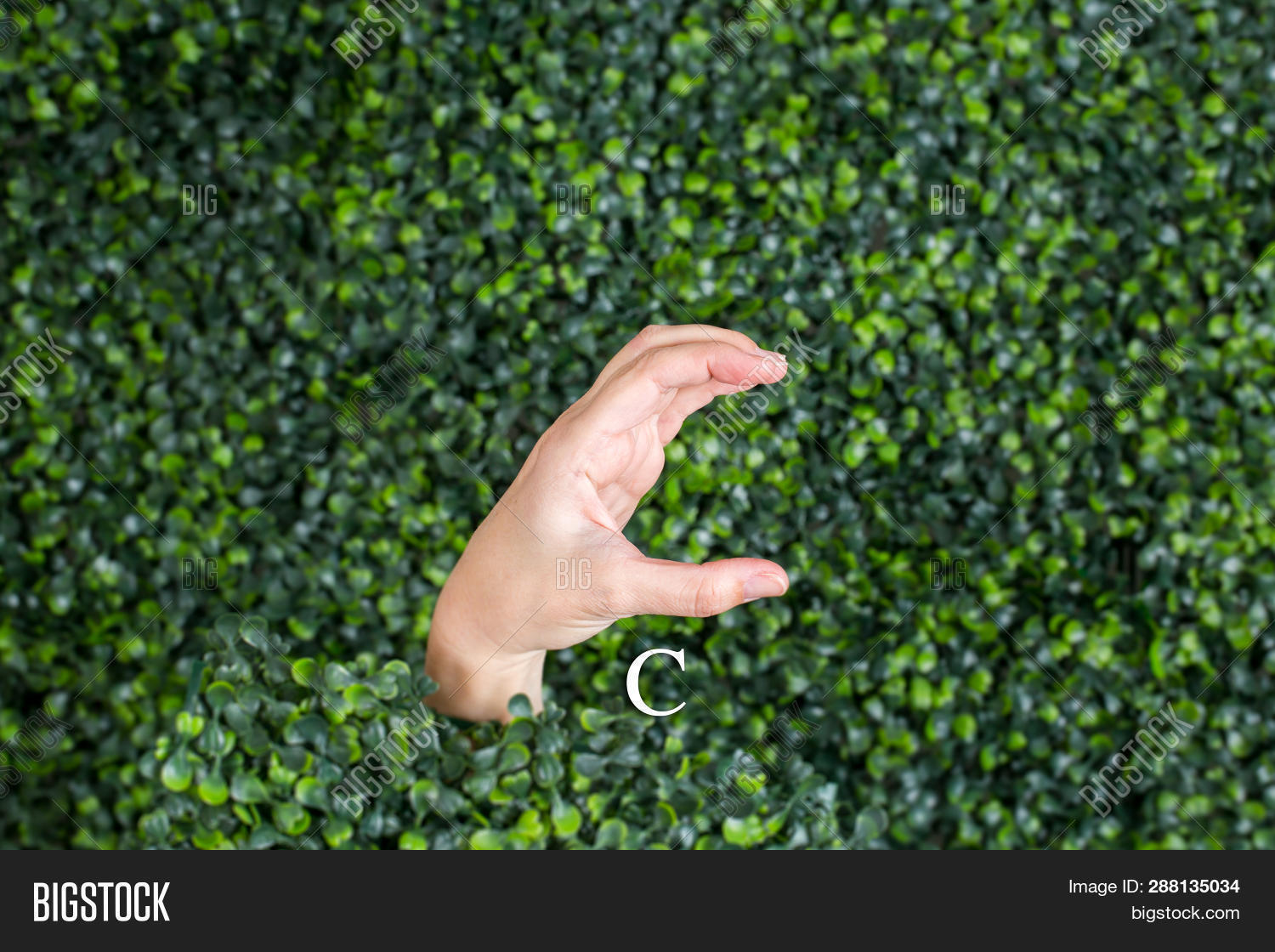 Sign Language Letter C Image & Photo (Free Trial) | Bigstock