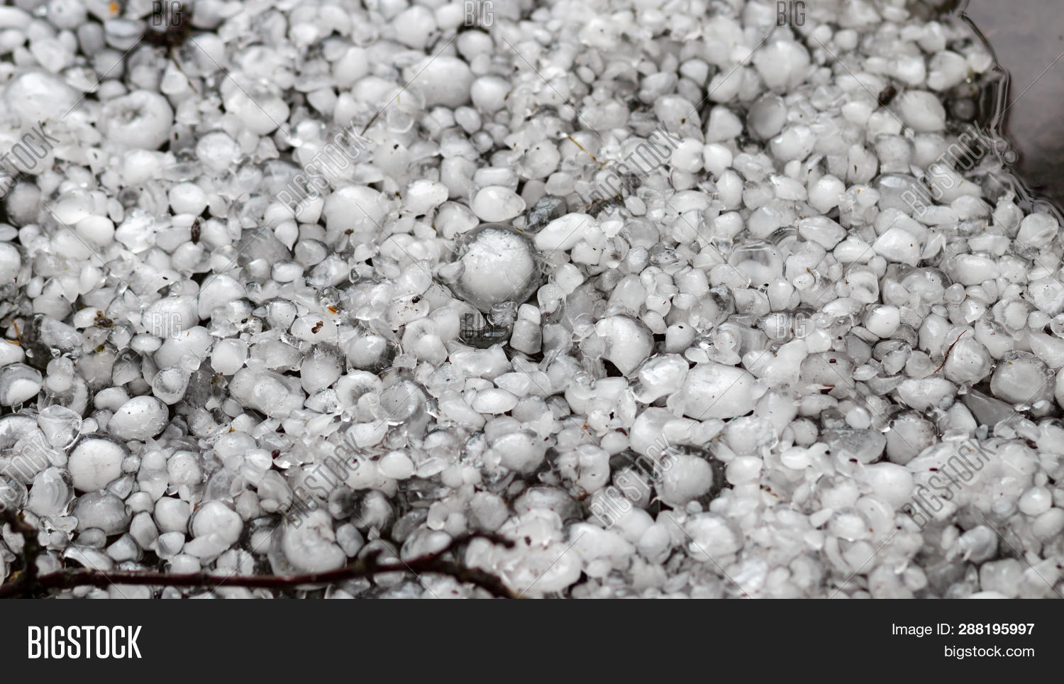 Hailstones On Ground Image & Photo (Free Trial) | Bigstock