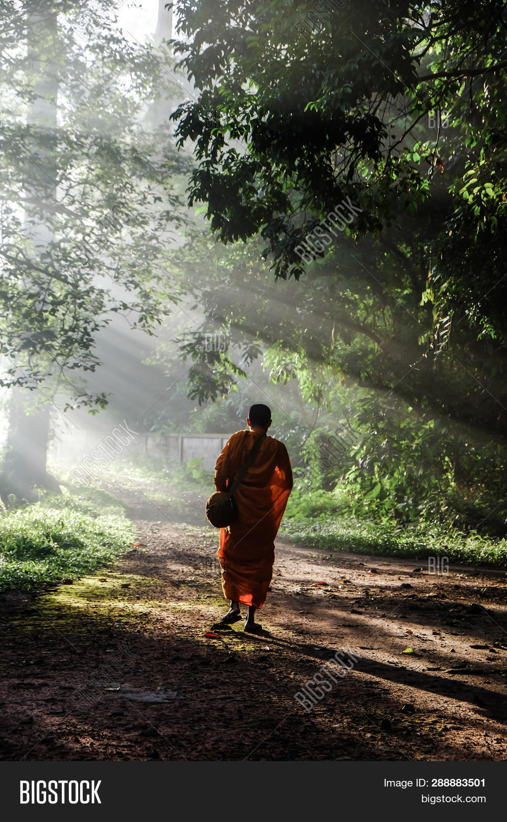 Buddhist Monks Walking