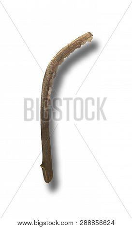 Neolithic Sickle Made Image & Photo (Free Trial) | Bigstock