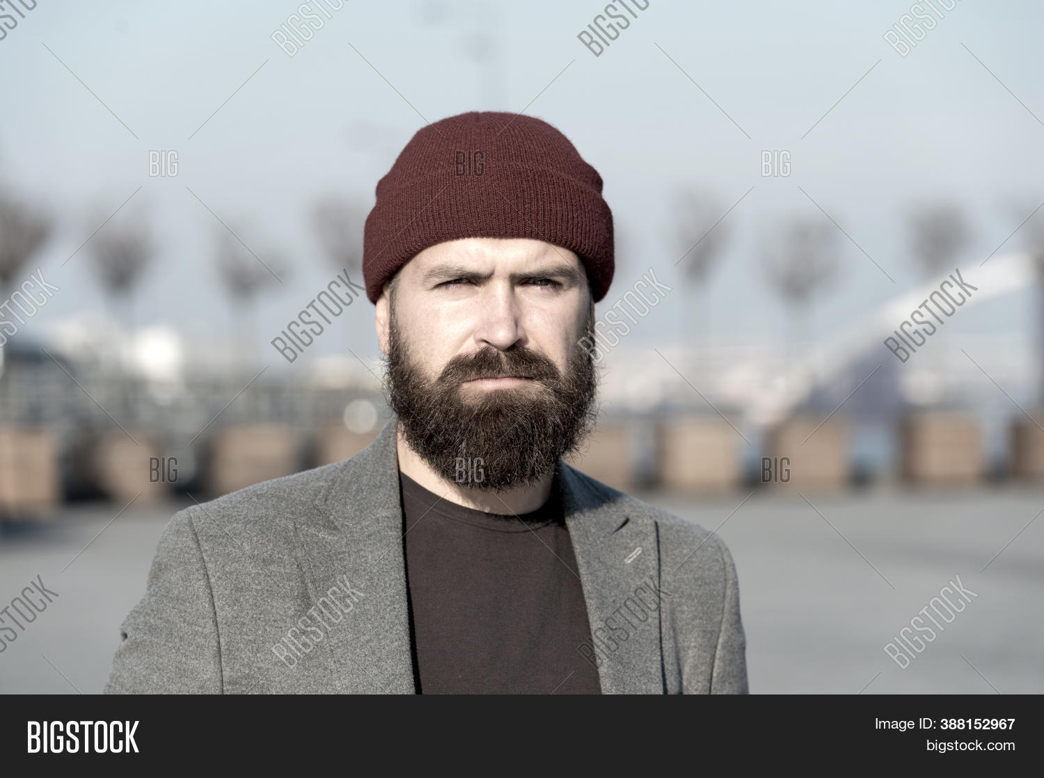 Man Bearded Hipster Image & Photo (Free Trial) | Bigstock