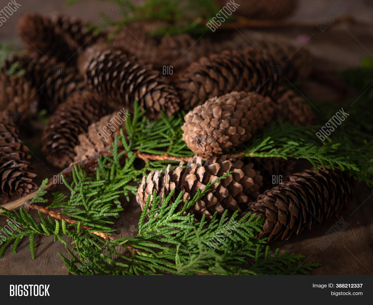 Fir Cones Background Image & Photo (Free Trial) | Bigstock