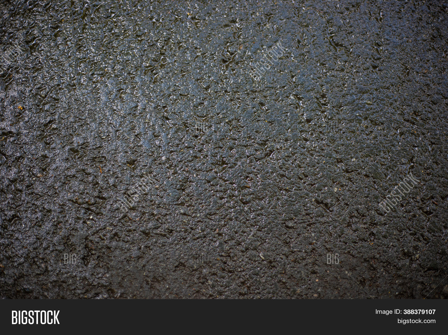 Wet Asphalt Texture. Image & Photo (Free Trial) | Bigstock