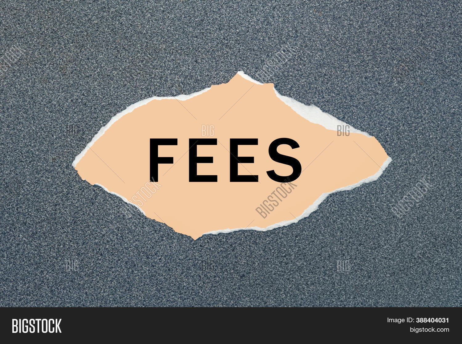 Fees - Written On Torn Image & Photo (Free Trial) | Bigstock