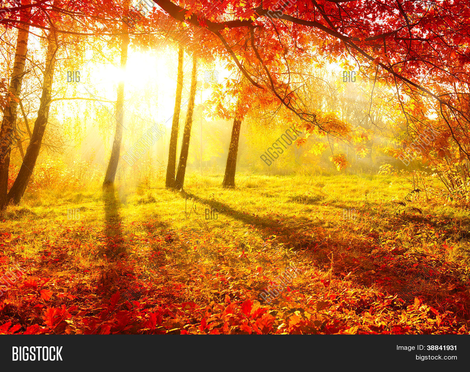 Autumn. Fall. Autumnal Image & Photo (Free Trial) | Bigstock