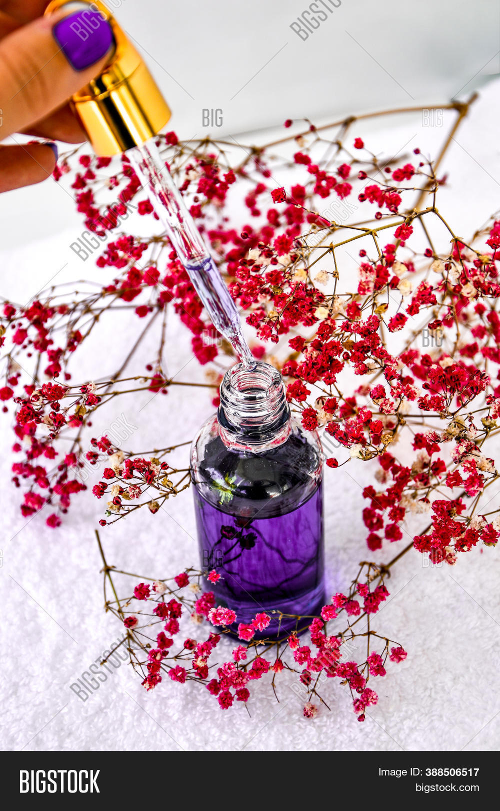 Woman Dripping Rose Image & Photo (Free Trial) | Bigstock