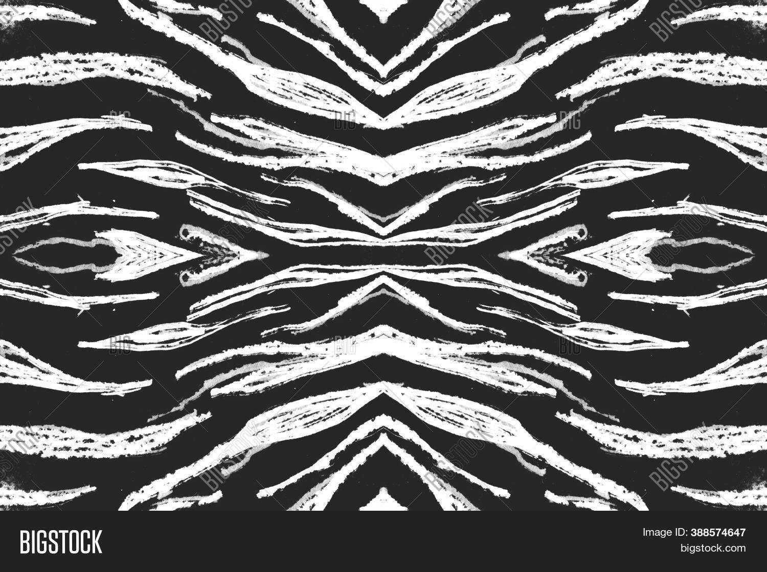 Seamless Zebra Lines. Image & Photo (Free Trial) | Bigstock