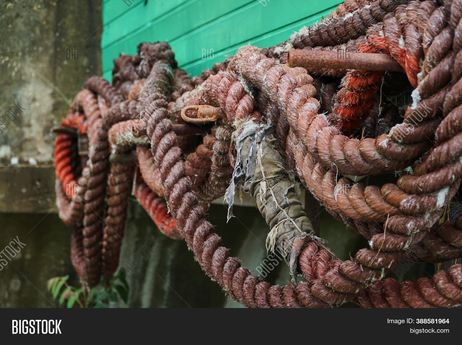 Red Sea Ropes. Wet Image & Photo (Free Trial) | Bigstock