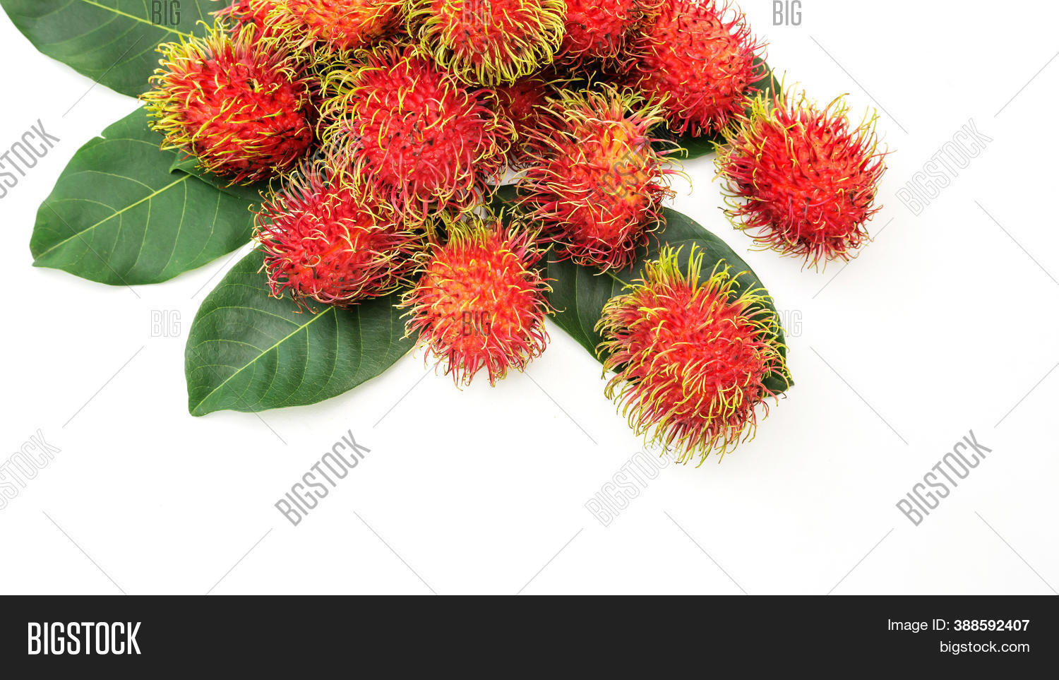 Red Rambutan Fruit On Image & Photo (Free Trial) | Bigstock