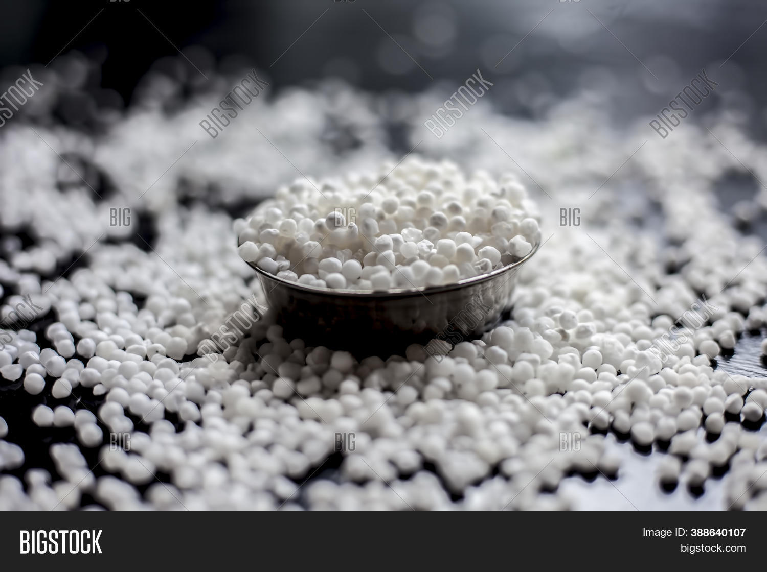 Close Shot Raw Sago Image & Photo (Free Trial) | Bigstock