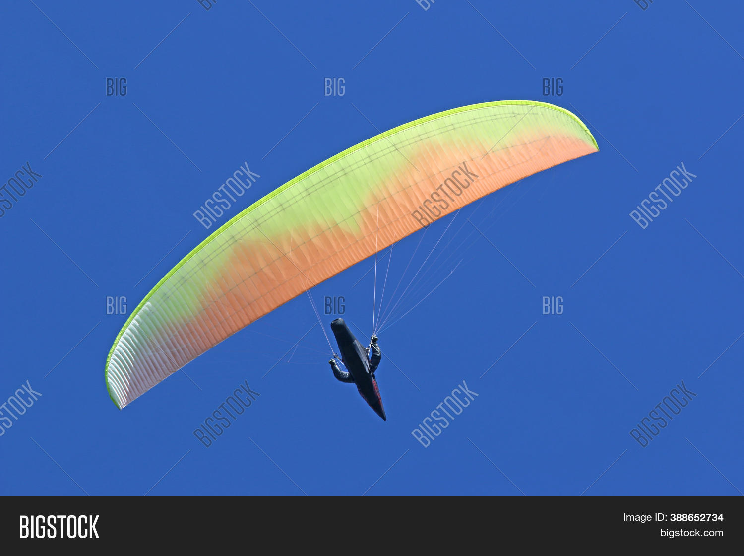 Paraglider Flying Image & Photo (Free Trial) | Bigstock