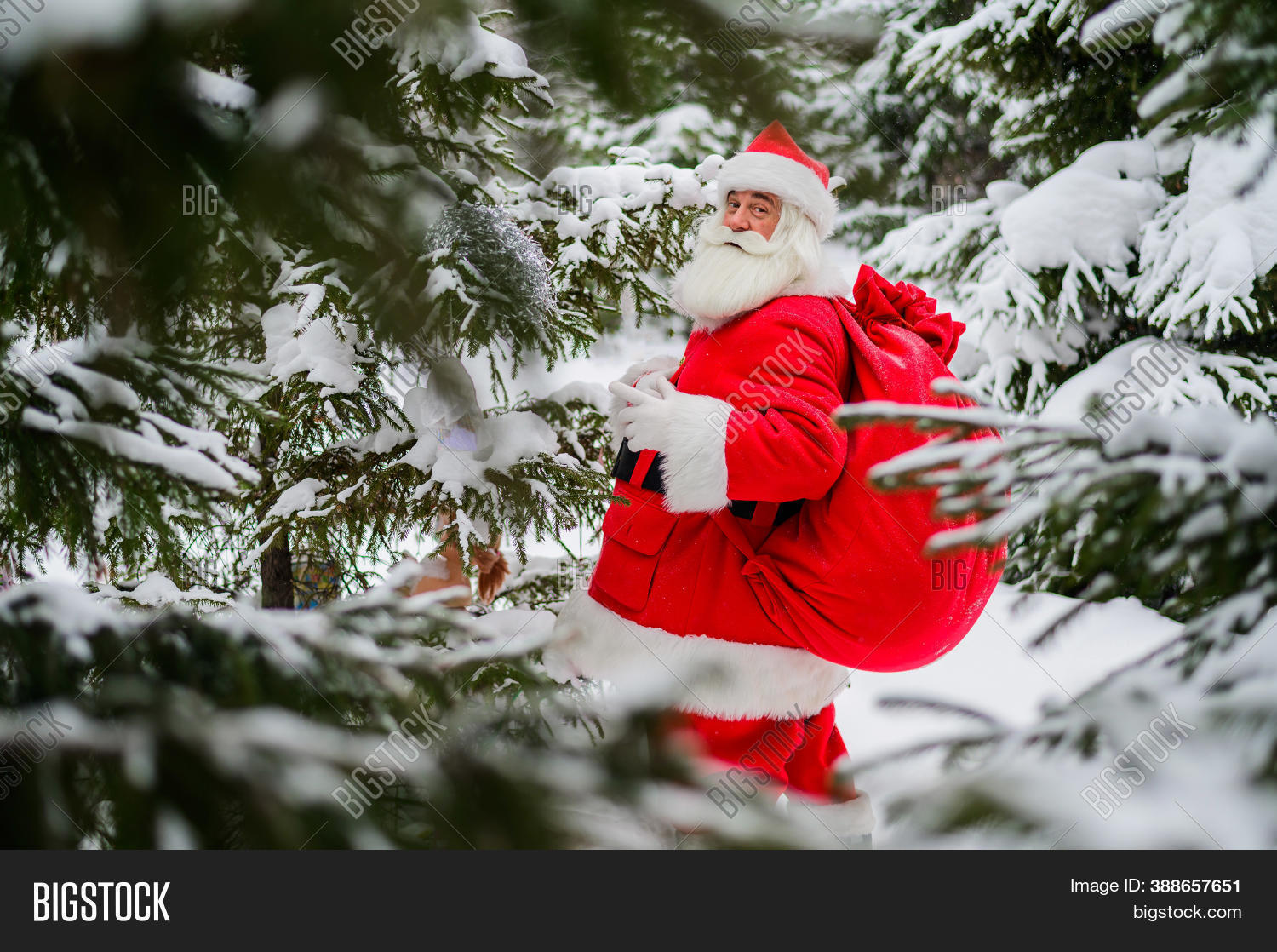 Surprised Santa Claus Image & Photo (Free Trial) | Bigstock