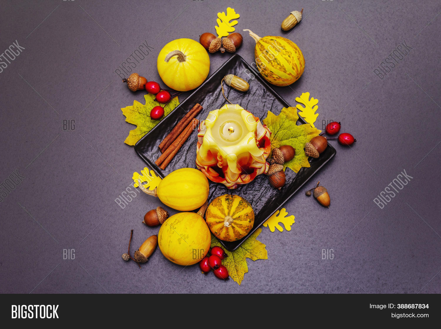 Autumn Composition Image & Photo (Free Trial) | Bigstock