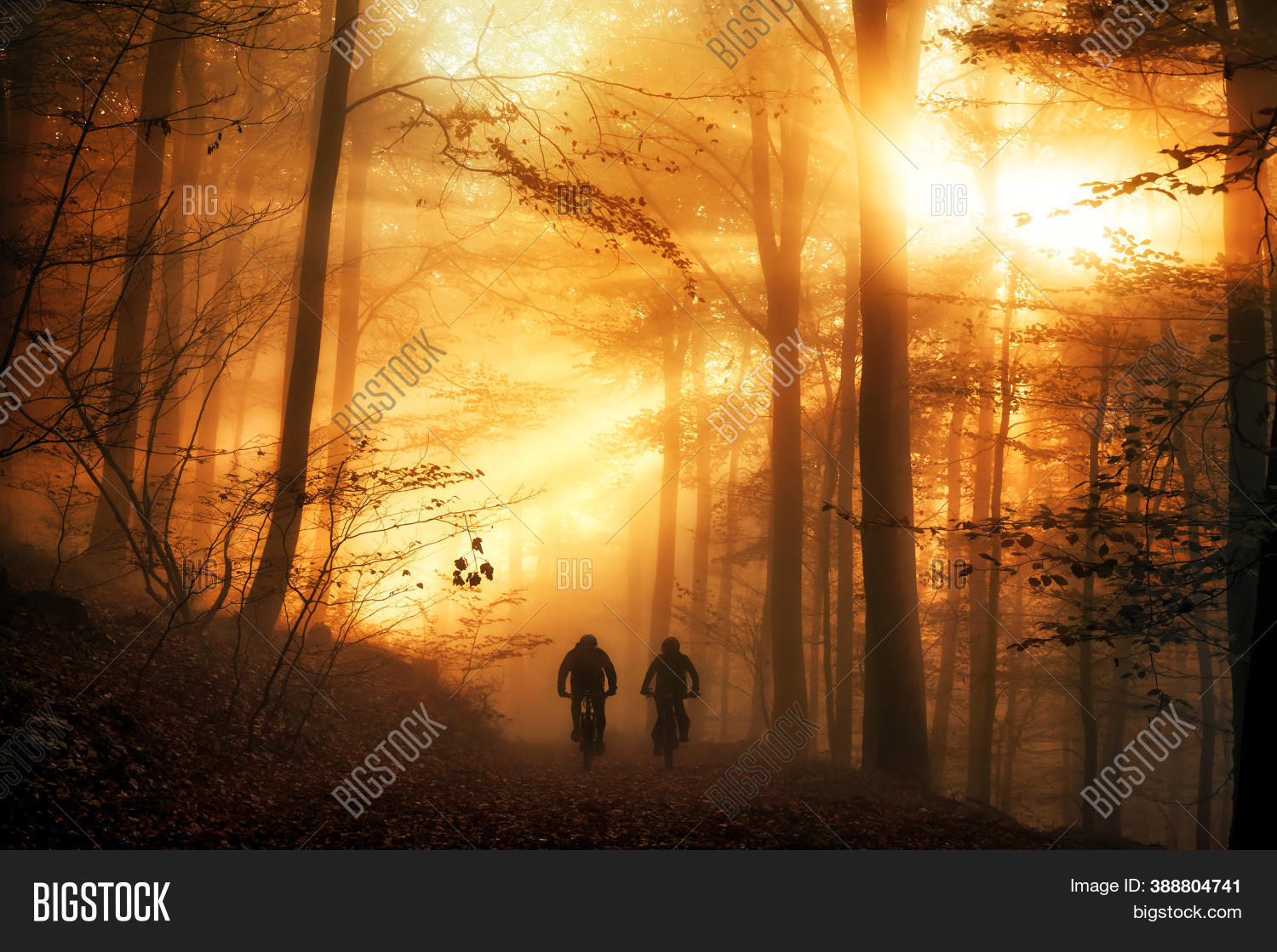 Surreal Light Mood Image & Photo (Free Trial) | Bigstock