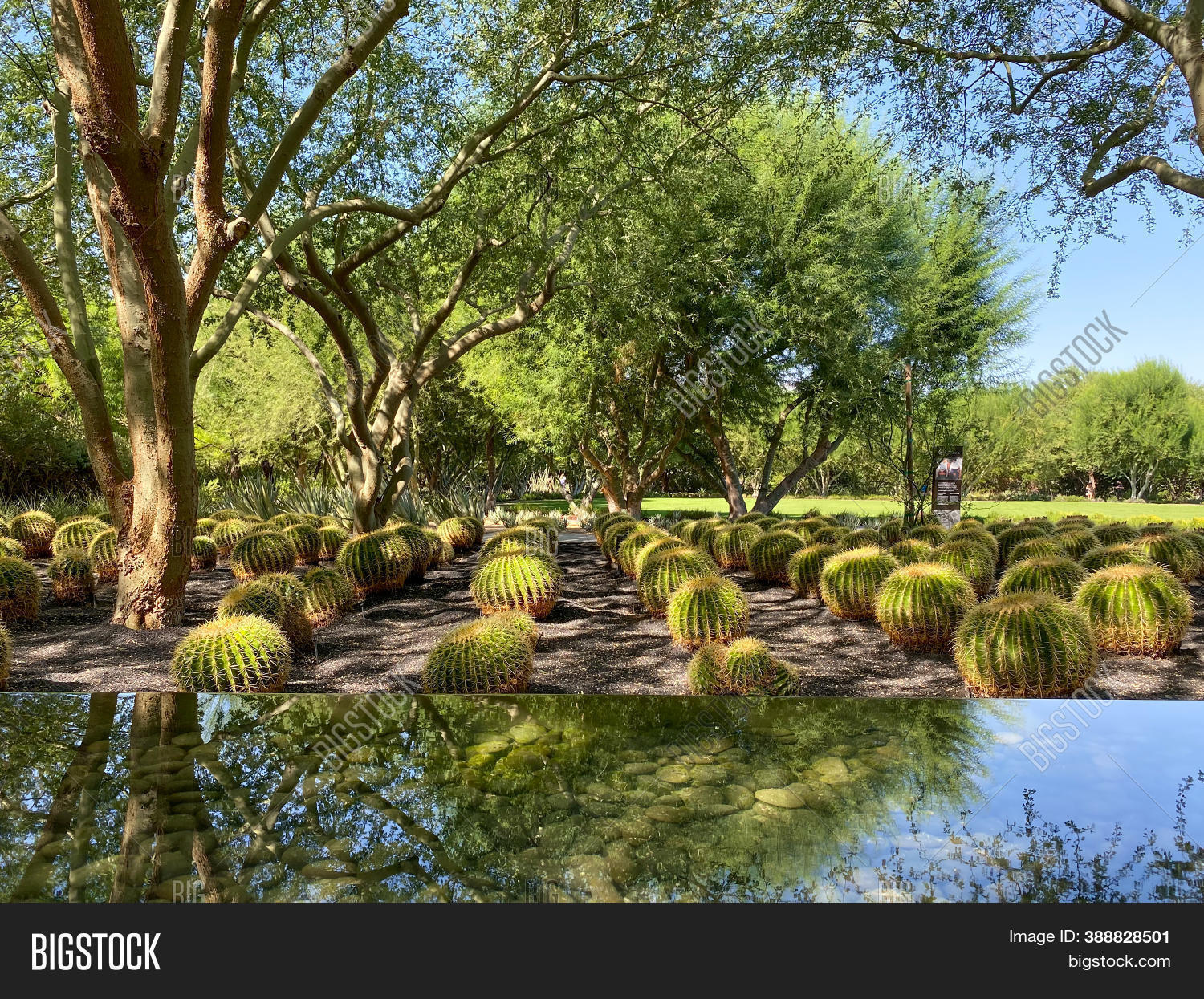 Sunnylands Center Image & Photo (Free Trial) | Bigstock