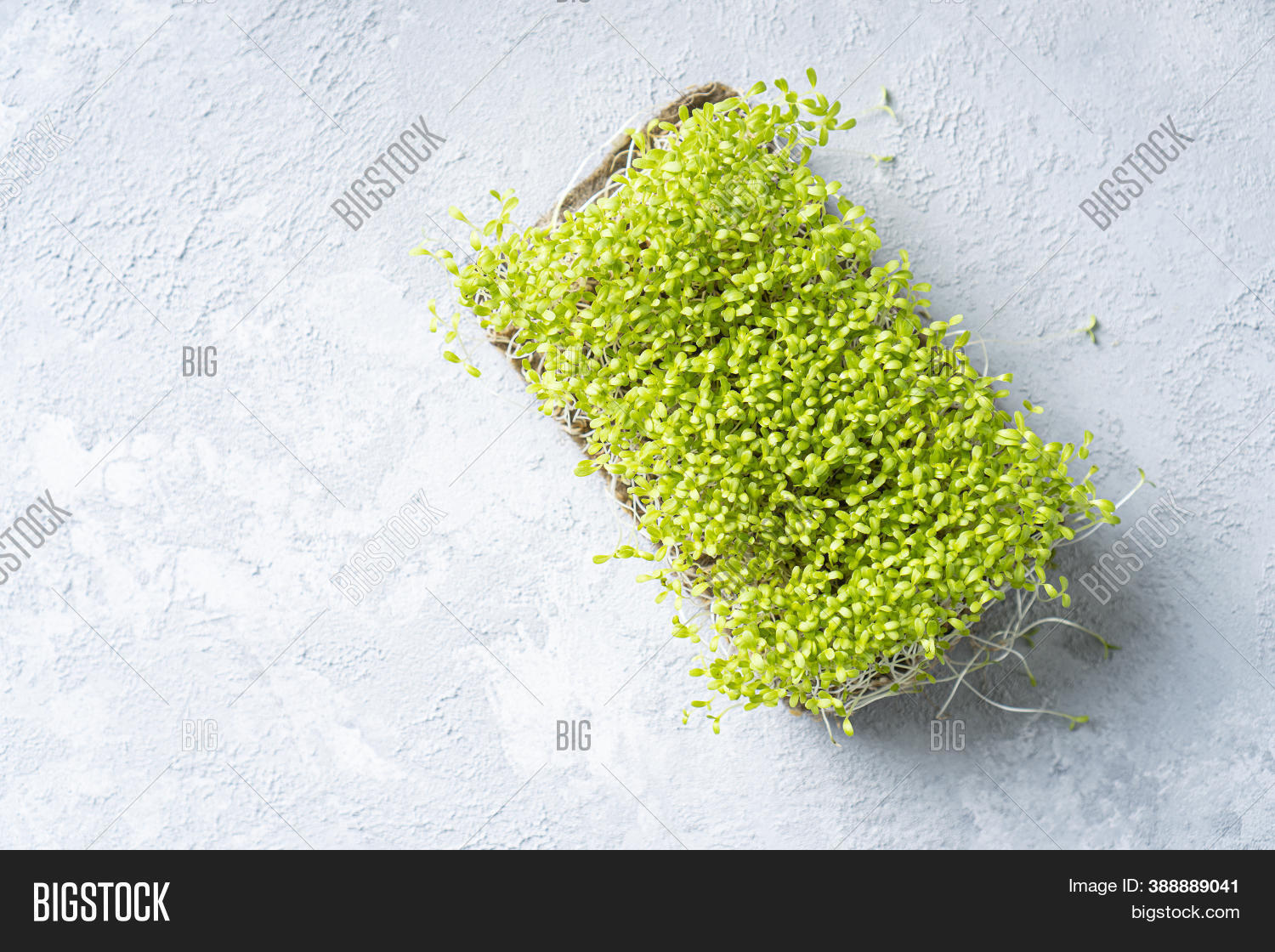 Micro Green Background Image & Photo (Free Trial) | Bigstock