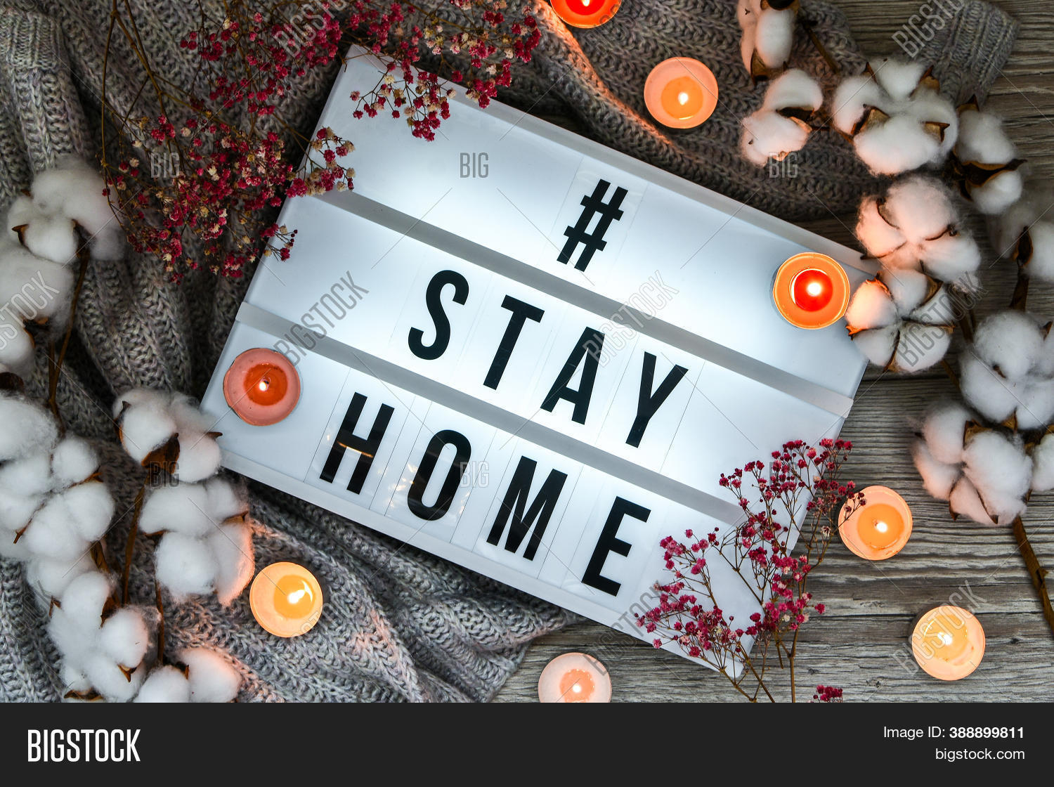 Hashtag Stay Home. Image & Photo (Free Trial) | Bigstock